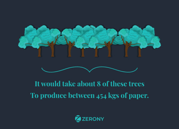 top 10 Shocking and interesting facts about trees with graphics