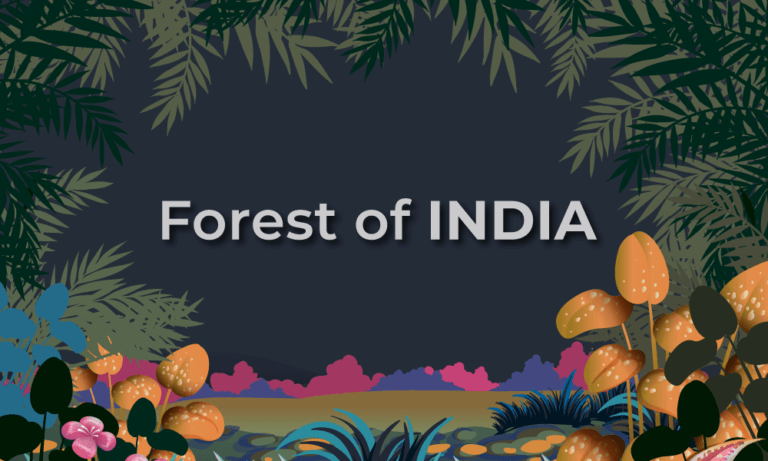 Forest of India