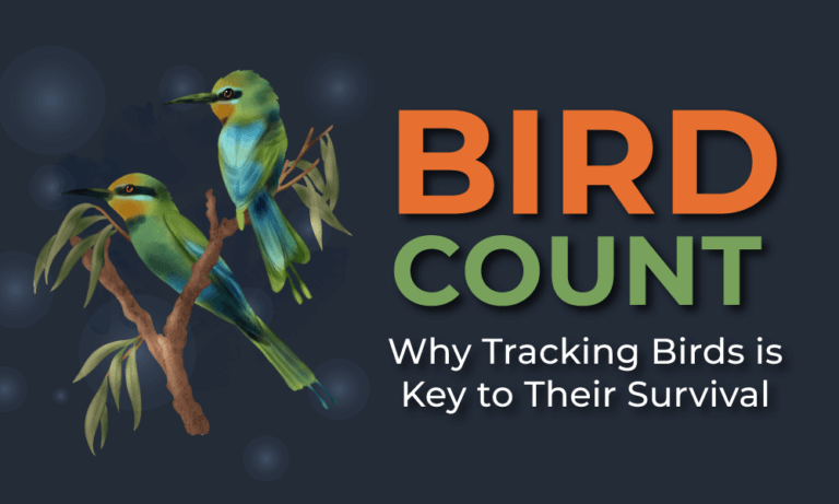 Bird Count: Why Tracking Birds is Key to Their Survival