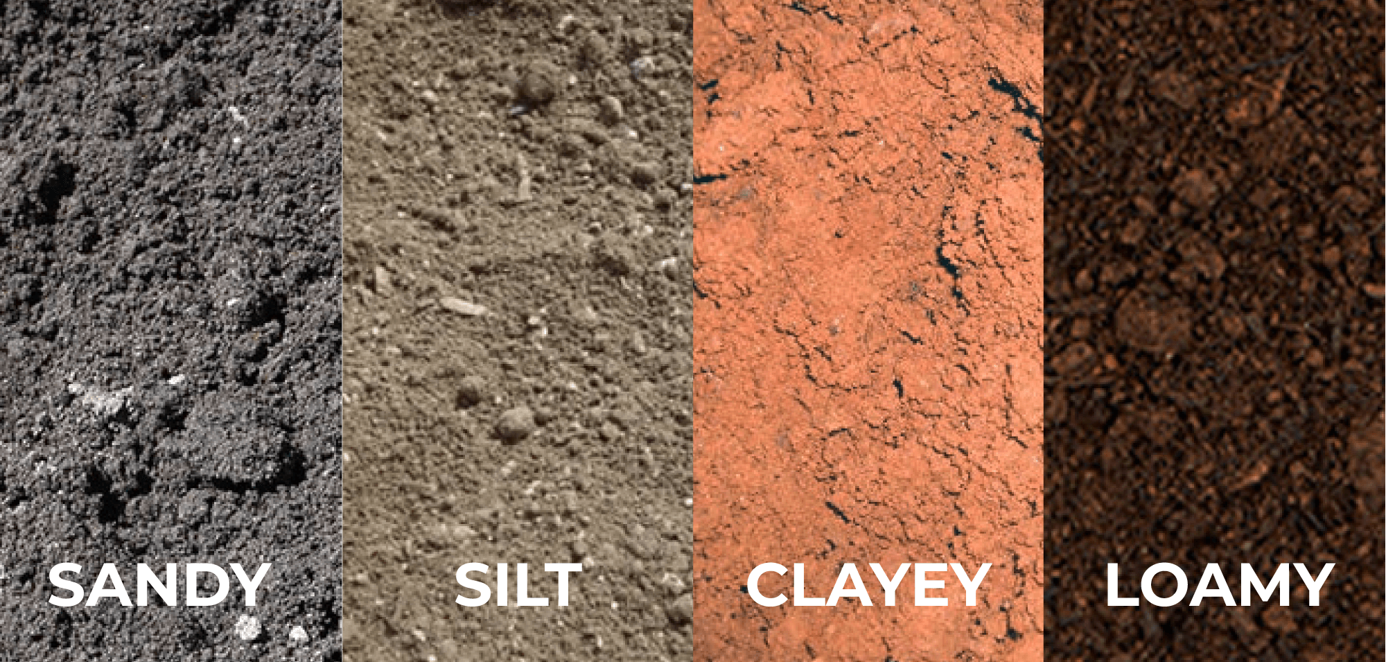 Soil Types of India – Classification, Characteristics & Distribution
